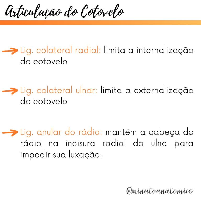 Minuto Anatômico #11: Articulação do cotovelo – Anatomia & Fisioterapia
