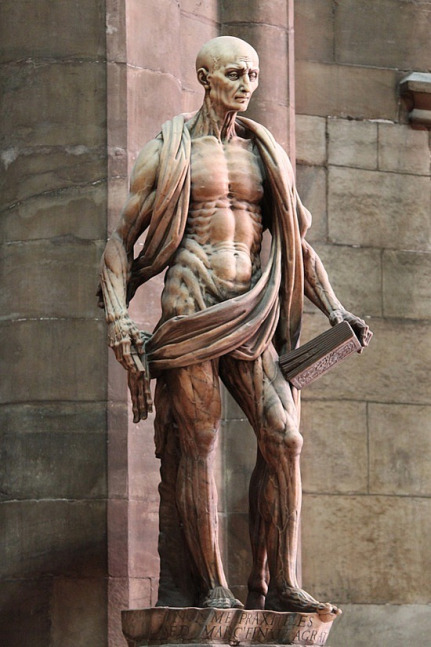 A história de São Bartolomeu e seu martírio por esfolamento – Anatomia ...