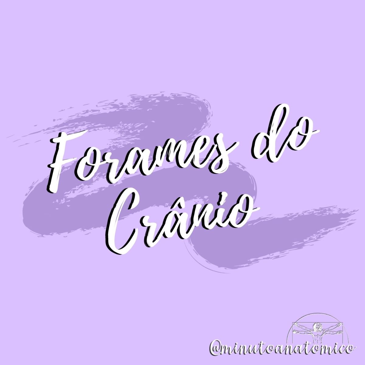 Minuto Anatômico #27: Forames do Crânio – Anatomia & Fisioterapia
