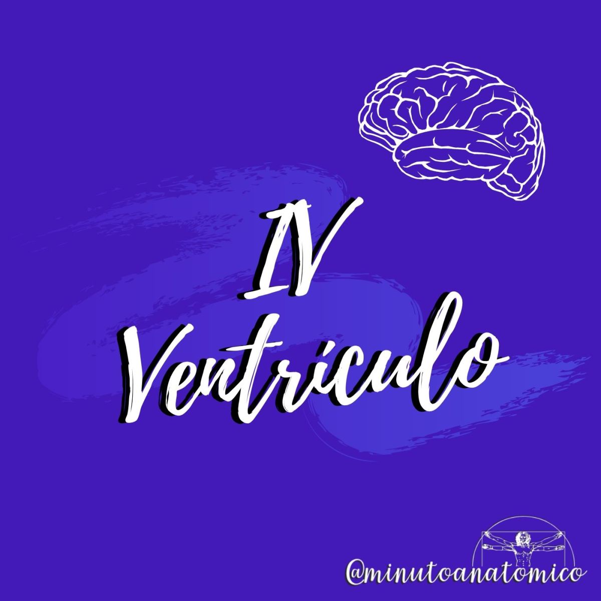 Minuto Anatômico #32: IV ventrículo – Anatomia & Fisioterapia