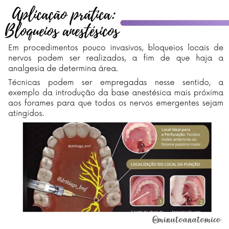 Minuto Anatômico #27: Forames do Crânio – Anatomia & Fisioterapia