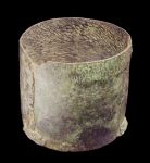 Etimologia #115: Modíolo – Anatomia & Fisioterapia