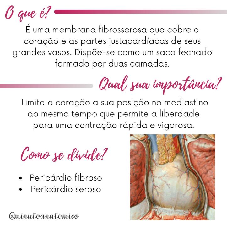 Minuto Anatômico #47: Pericárdio – Anatomia & Fisioterapia
