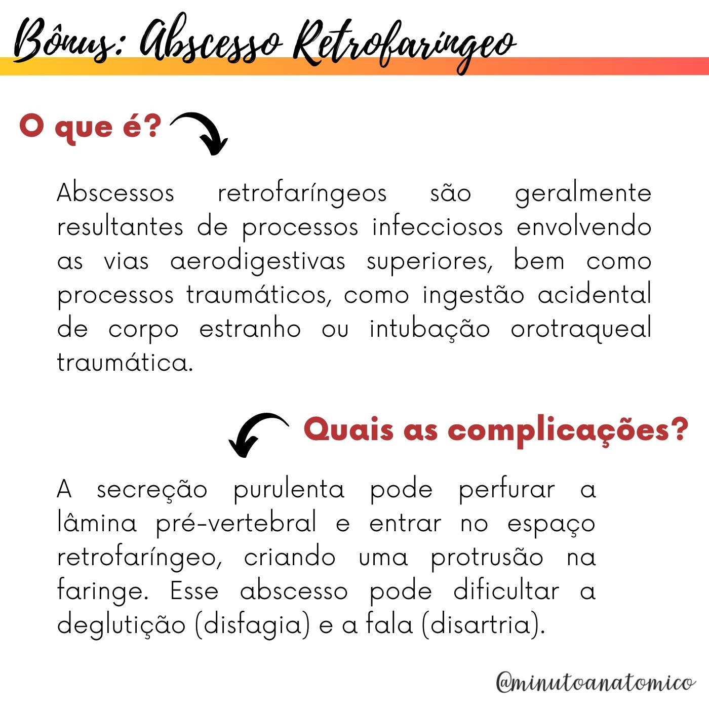 Minuto Anatômico #42: Fáscia Cervical – Anatomia & Fisioterapia