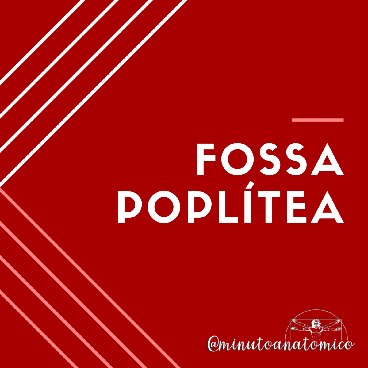 Minuto Anatômico #55: Fossa Poplítea – Anatomia & Fisioterapia