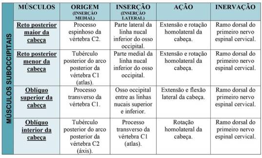 25- Músculos do dorso – Anatomia & Fisioterapia