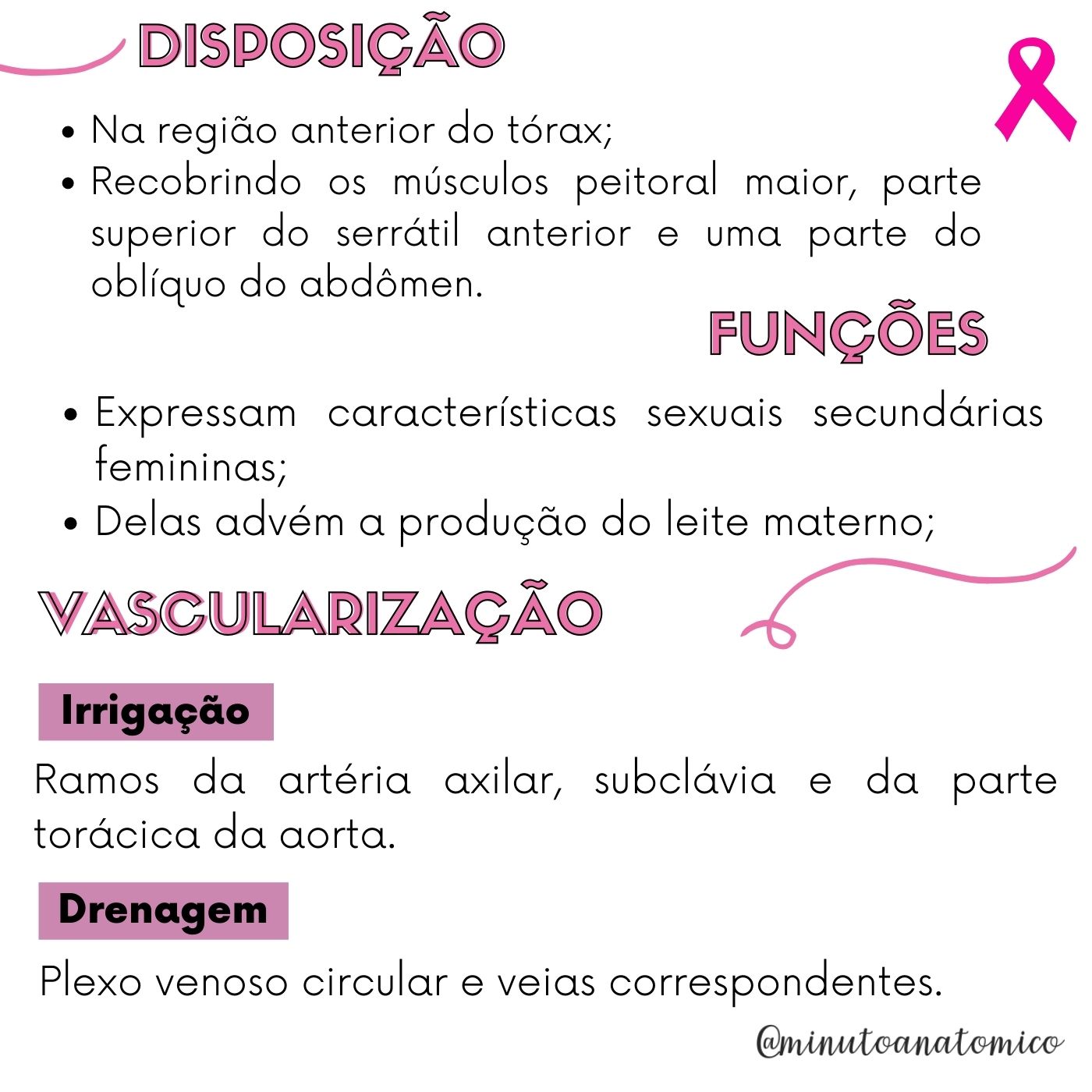 Minuto Anatômico #57: Anatomia da mama – Anatomia & Fisioterapia