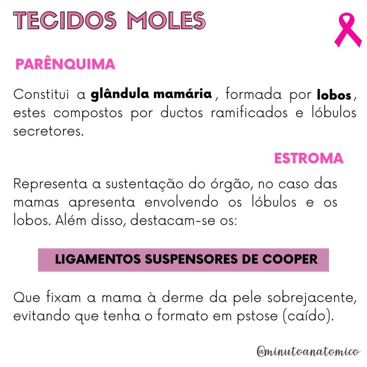 Minuto Anatômico #57: Anatomia da mama – Anatomia & Fisioterapia