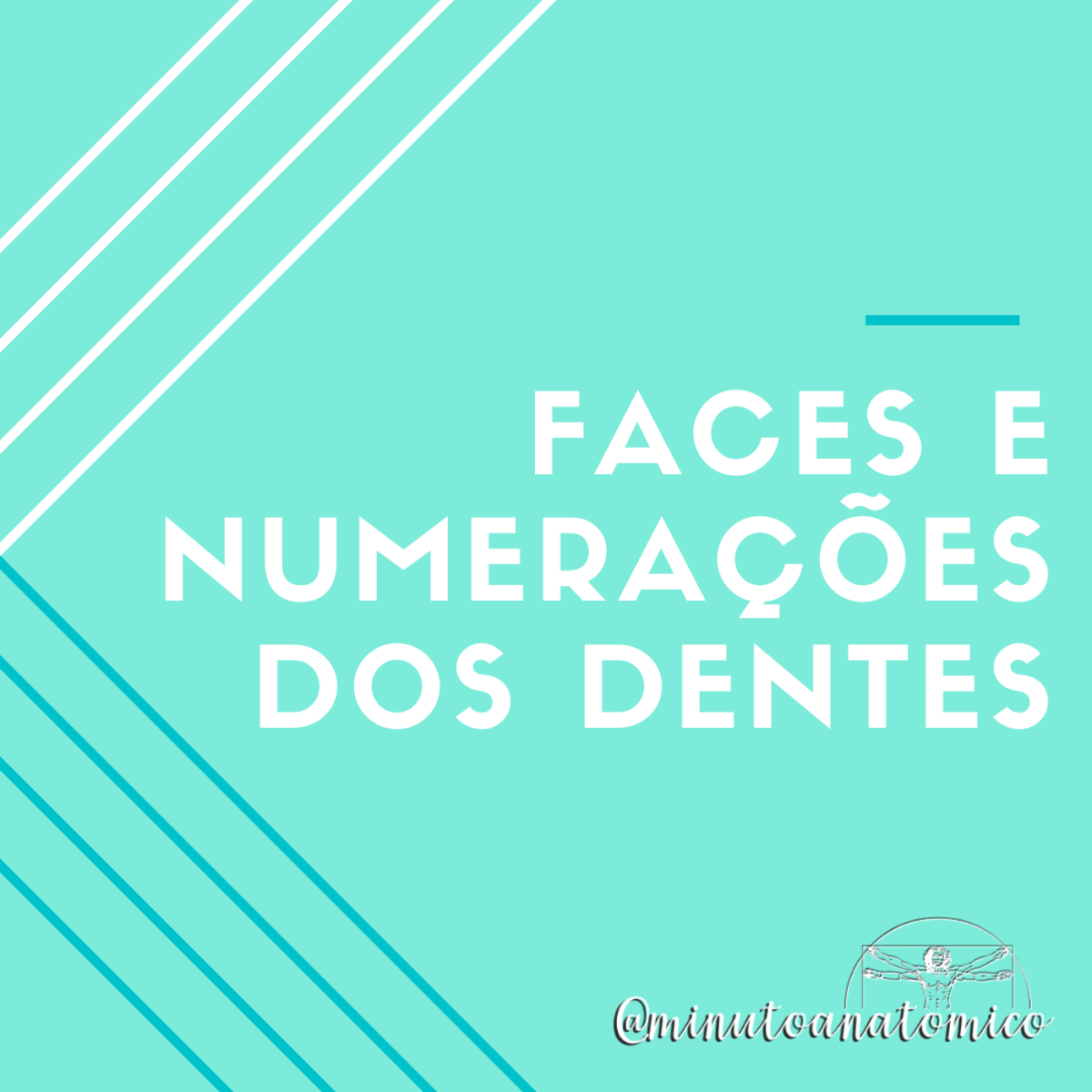 Minuto anatômico #103: Faces e numerações dos dentes – Anatomia ...