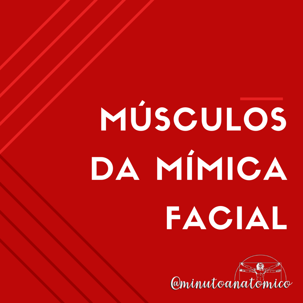 Minuto Anatômico #112: Músculos da mímica facial – Anatomia & Fisioterapia