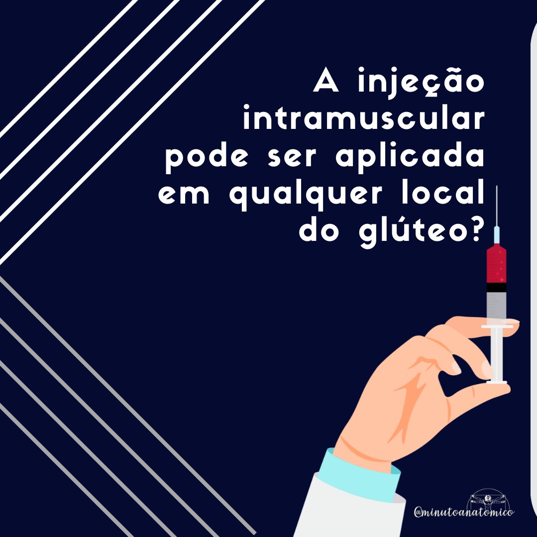 Minuto anatômico #117: Injeção intramuscular no glúteo – Anatomia ...