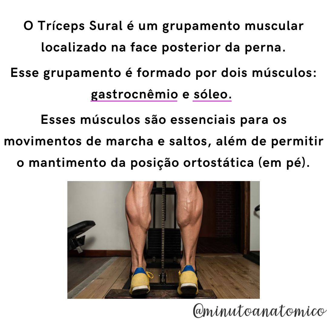 Minuto Anatômico #142: Tríceps sural – Anatomia & Fisioterapia