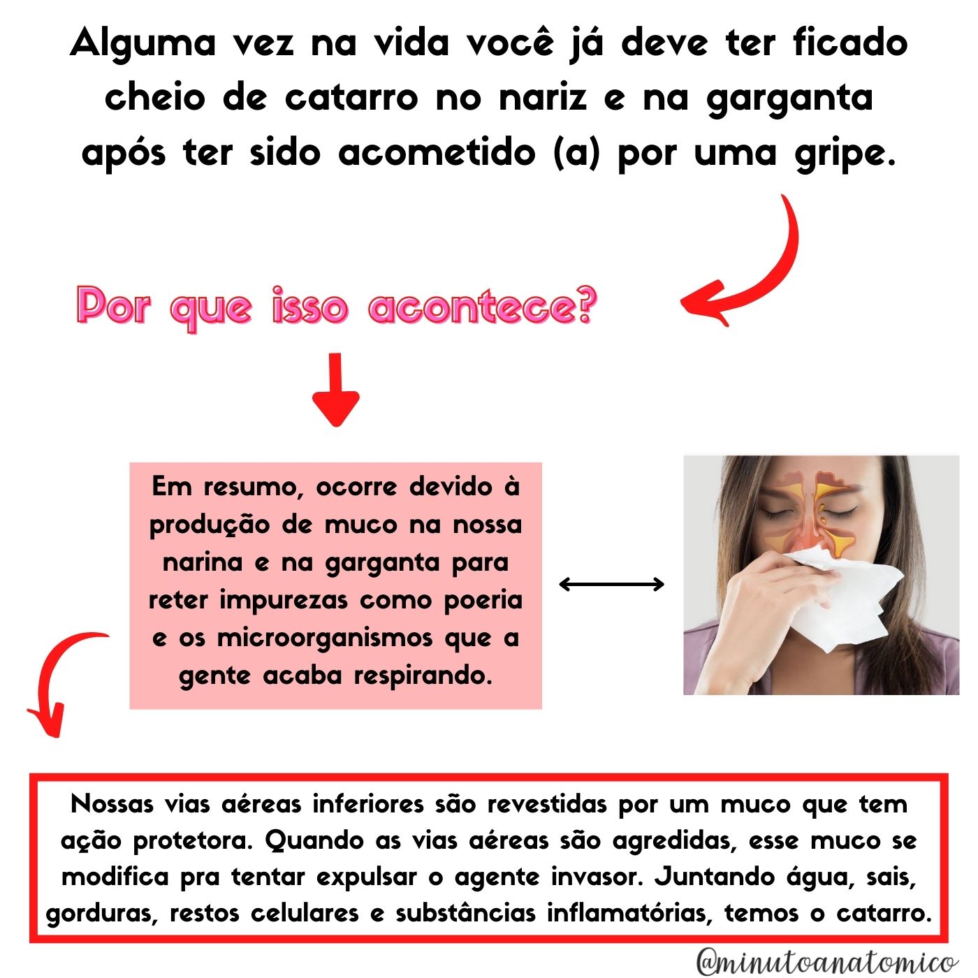 Minuto anatômico #137: O que é e como se forma o catarro? – Anatomia ...