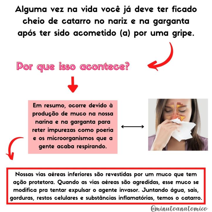 Minuto anatômico #137: O que é e como se forma o catarro? – Anatomia ...