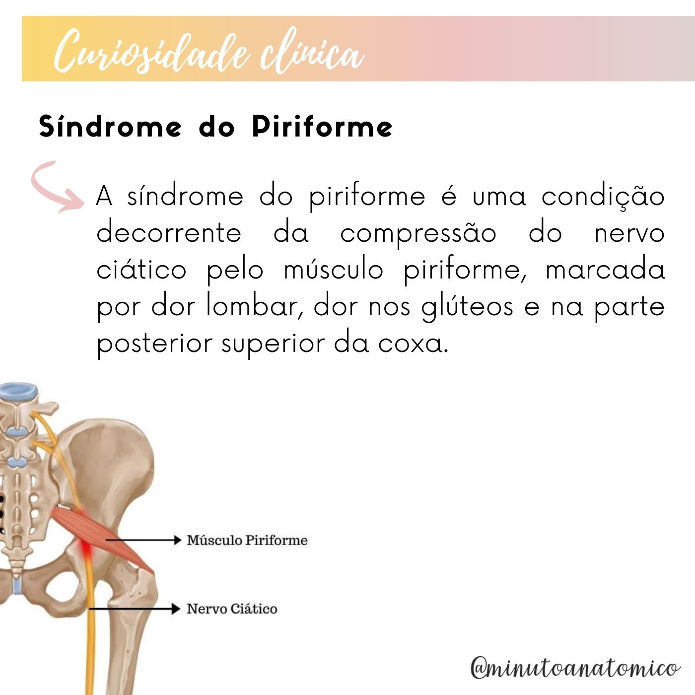 Minuto anatômico #138: Piriforme – Anatomia & Fisioterapia
