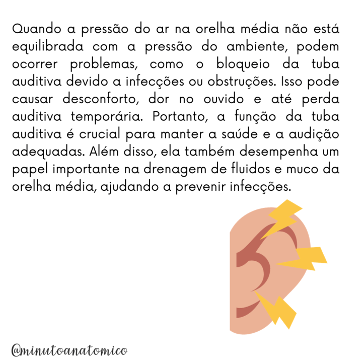 Minuto Anatômico #175: Tuba Auditiva – Anatomia & Fisioterapia