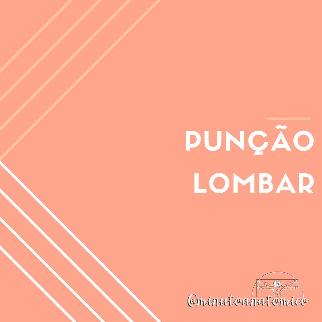 Minuto Anatômico #184: Punção Lombar – Anatomia & Fisioterapia