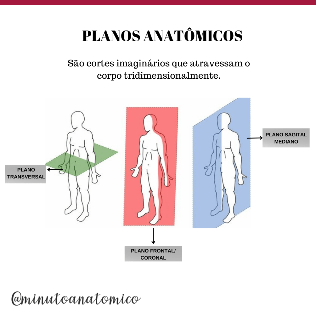 Anatomia Planos E Eixos - FDPLEARN
