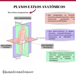 Minuto Anatômico #187: Planos e eixos anatômicos – Anatomia & Fisioterapia