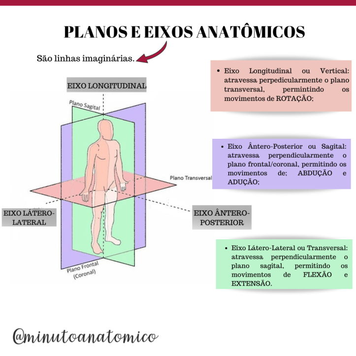 Minuto Anatômico #187: Planos e eixos anatômicos – Anatomia & Fisioterapia