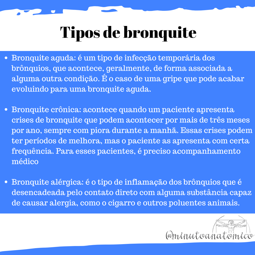 Minuto Anatomoclínico #37: Bronquite – Anatomia & Fisioterapia