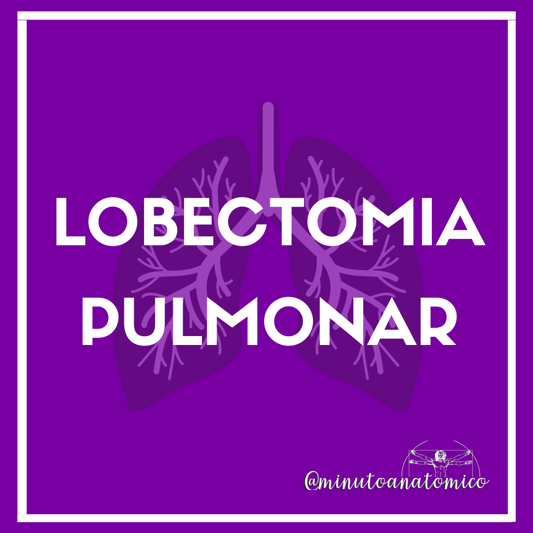 Minuto Anatômico #194: Lobectomia pulmonar – Anatomia & Fisioterapia