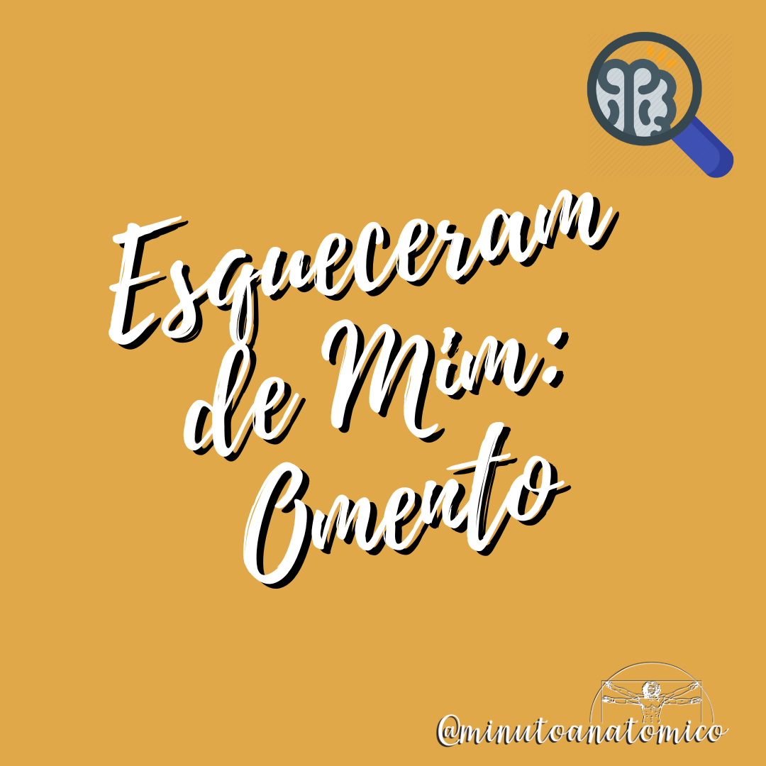 Esqueceram de Mim #12: Omento – Anatomia & Fisioterapia