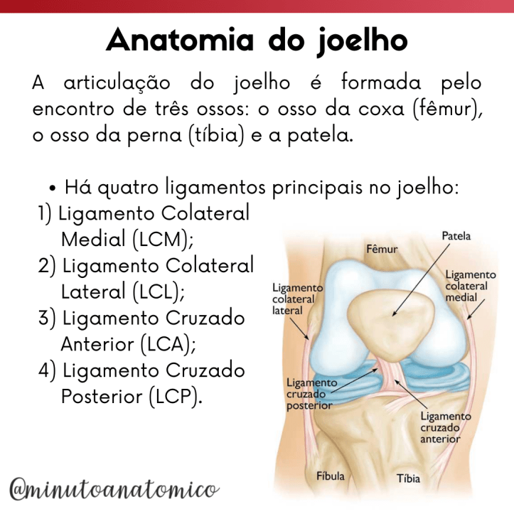 Minuto Anatomoclínico #42: Lesão de LCA – Anatomia & Fisioterapia