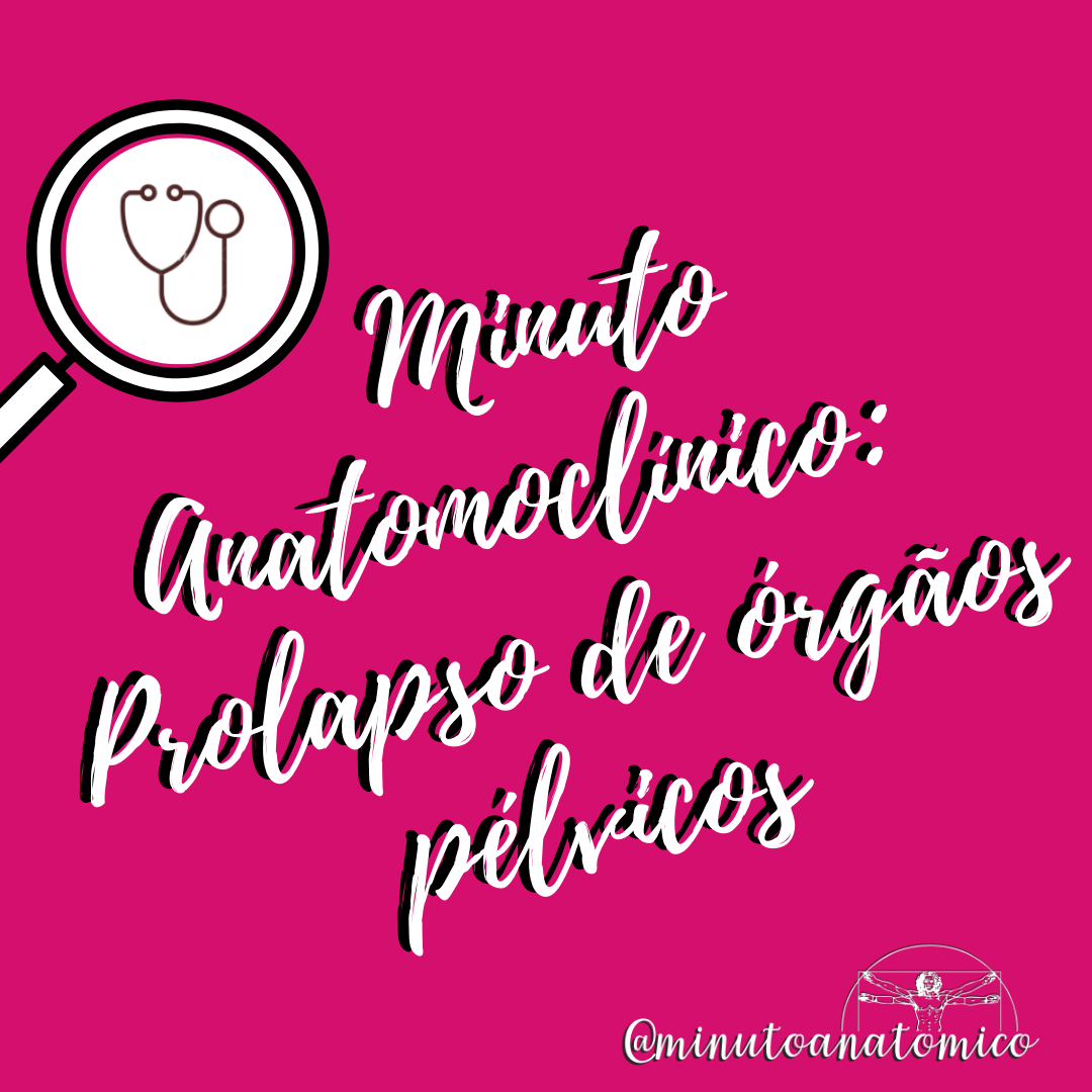 Minuto Anatomoclínico #44: Prolapso de órgãos pélvicos – Anatomia ...