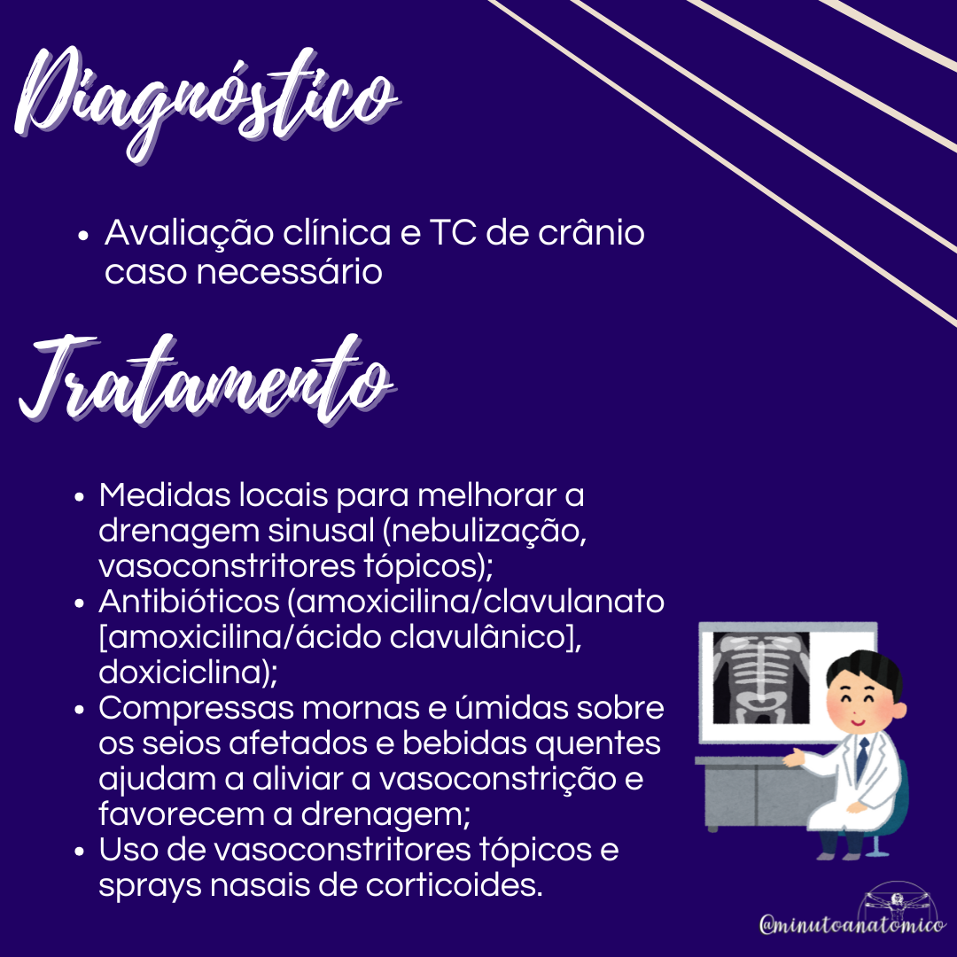 Minuto Anatomoclínico #68: Sinusite – Anatomia & Fisioterapia