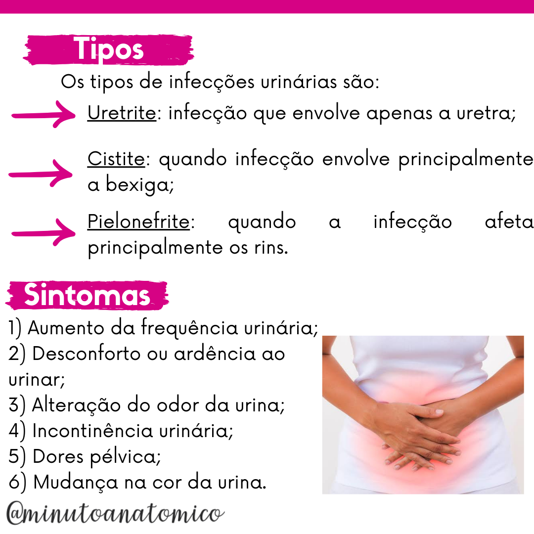 Minuto Anatomoclínico #69: Infecção urinária – Anatomia & Fisioterapia